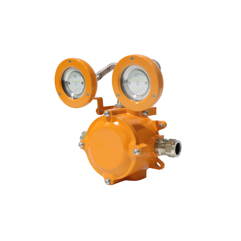 KHJ Lighting-LED ATEX IECEx Zone1,21 Fixtures/Mickey Mouse IIB